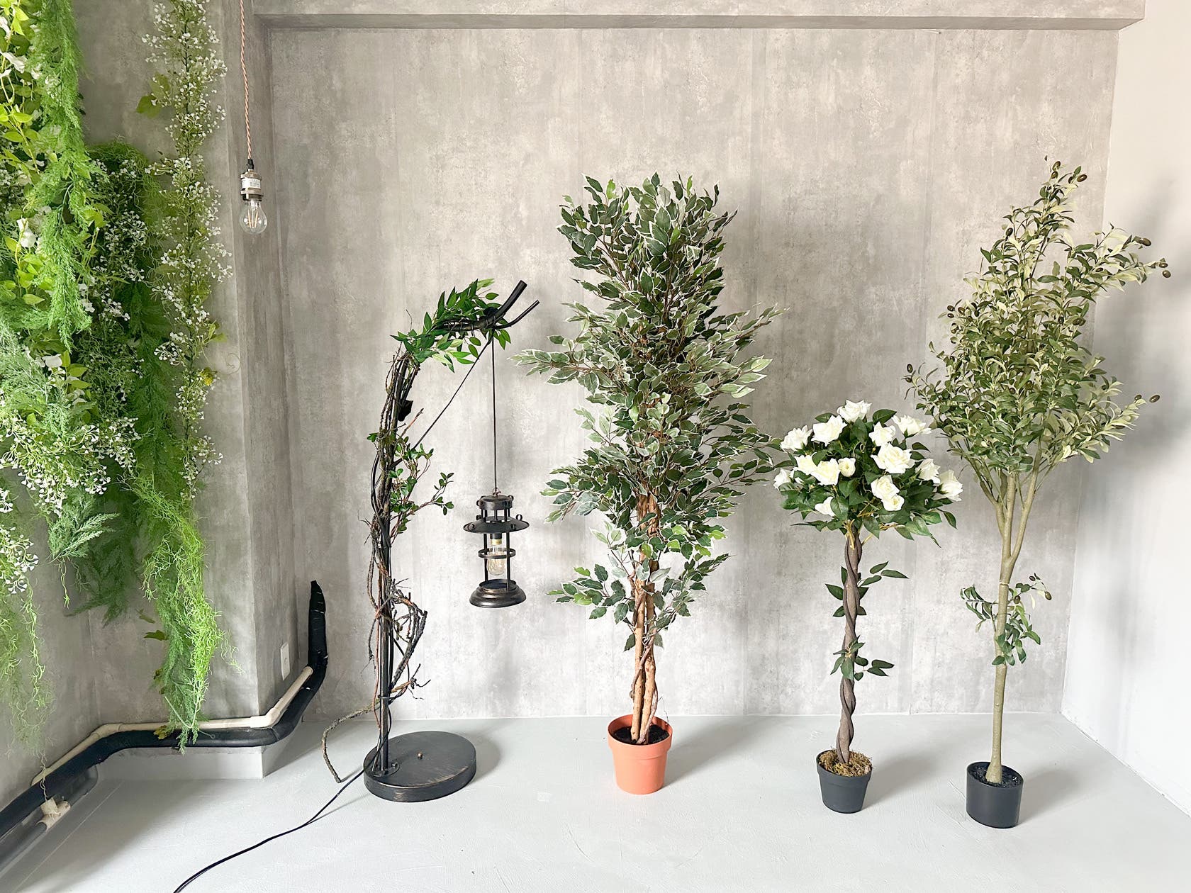 【控室有】モルタル・クンクリート・漆喰壁のある撮影スタジオ/コニカルスヌート/スワッグ/観葉植物/自然光の写真23