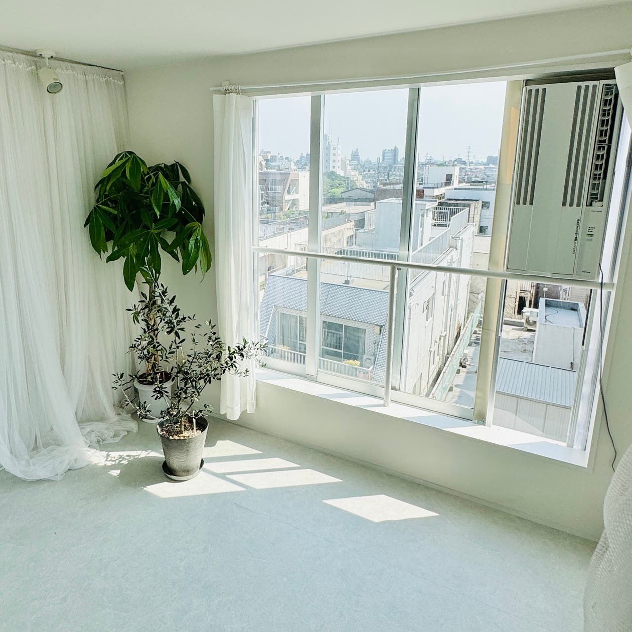 JR高円寺駅徒歩2分✳︎自然光と植物の撮影スタジオの写真10