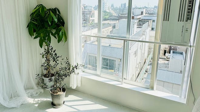 JR高円寺駅徒歩2分✳︎自然光と植物の撮影スタジオの写真10