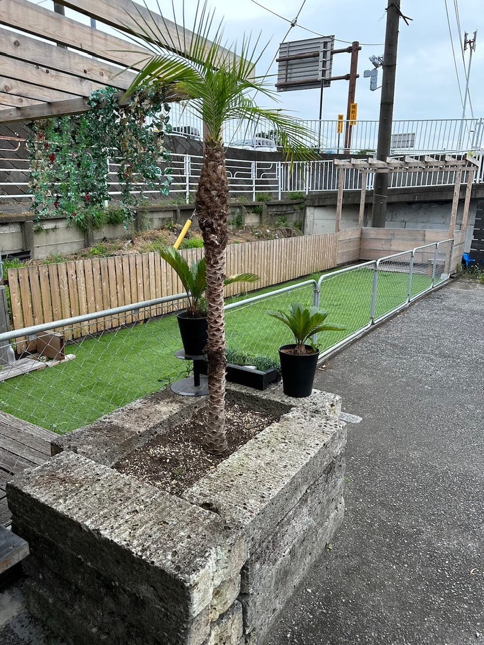 築50年の建物をリノベーションしたアンティークカフェの写真16