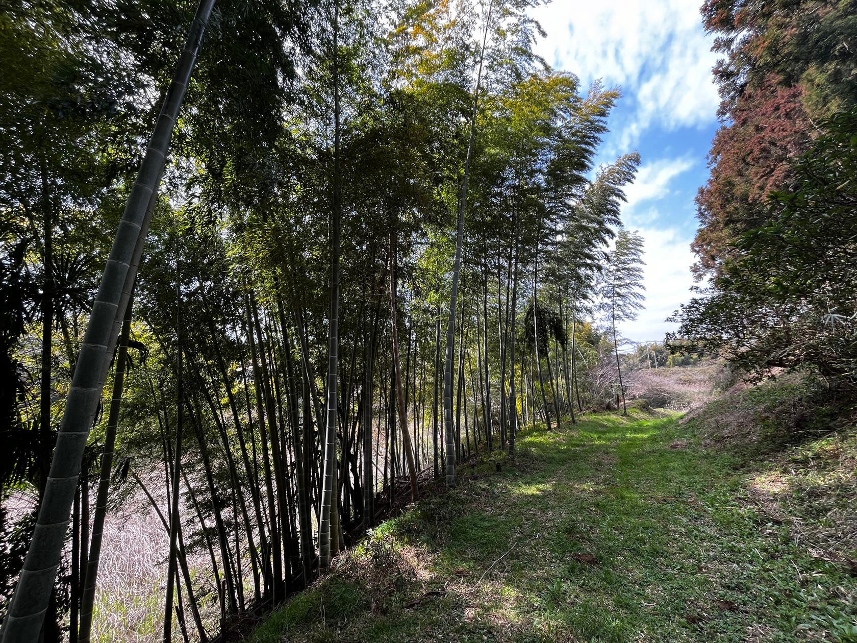 都心から100分！　ロケーション抜群の大きな古民家の写真12