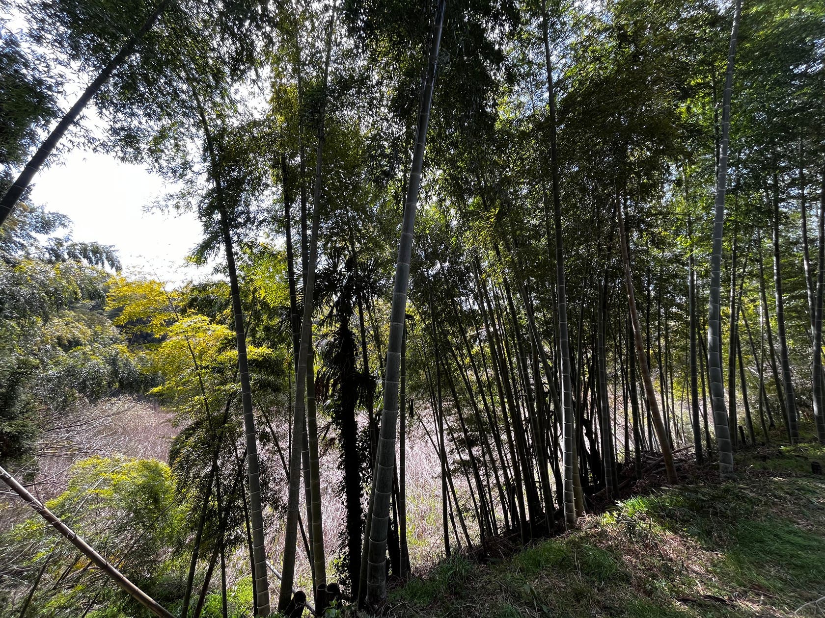 都心から100分！　ロケーション抜群の大きな古民家の写真13