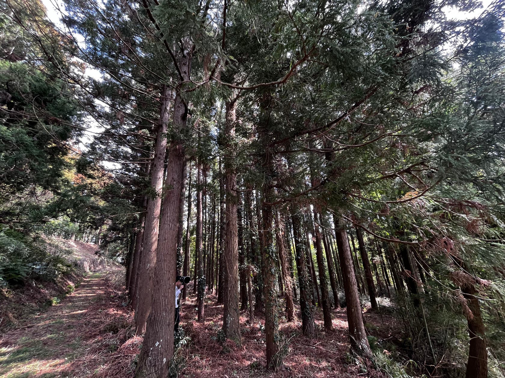 都心から100分！　ロケーション抜群の大きな古民家の写真14