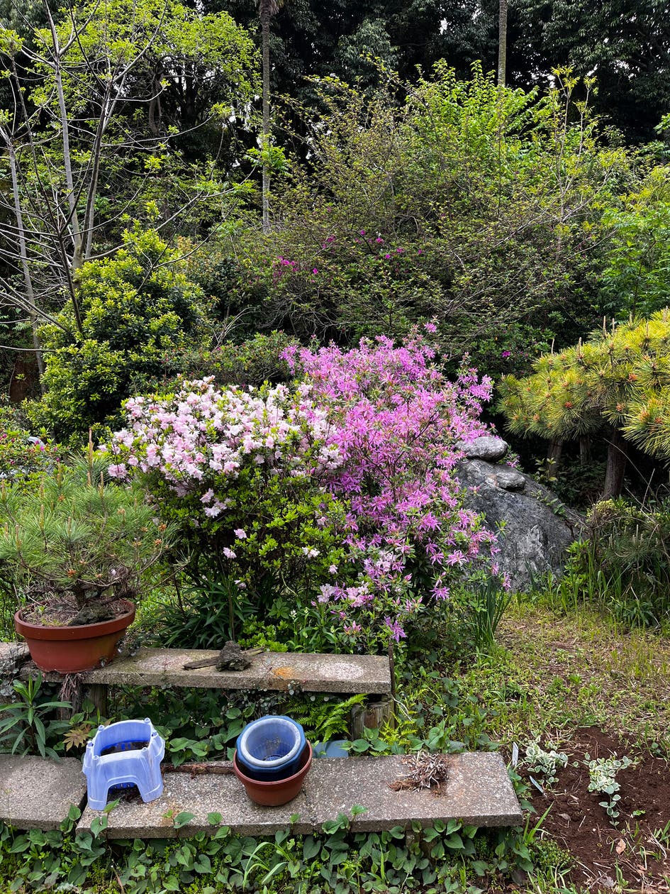 都心から100分！　ロケーション抜群の大きな古民家の写真15