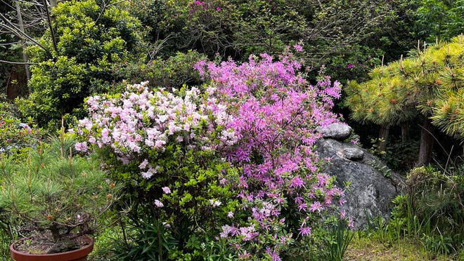 都心から100分! ロケーション抜群の大きな古民家の写真15