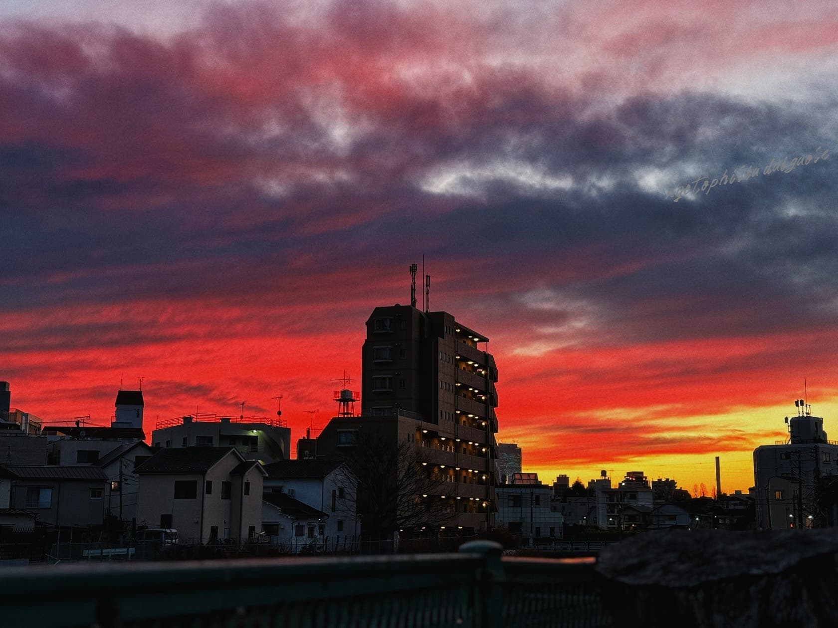 田端駅から徒歩10分 衝撃の鉄道風景の写真19