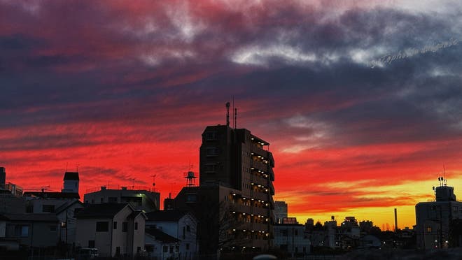 田端駅から徒歩10分 衝撃の鉄道風景の写真19