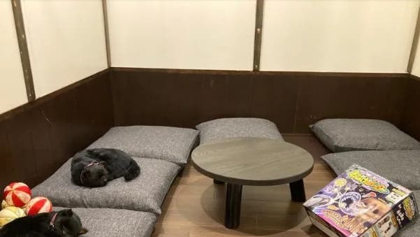 【関内】関内駅から徒歩1分! 大人数対応パーティールーム 【ななかいのしょうめん】(60名様)の写真4