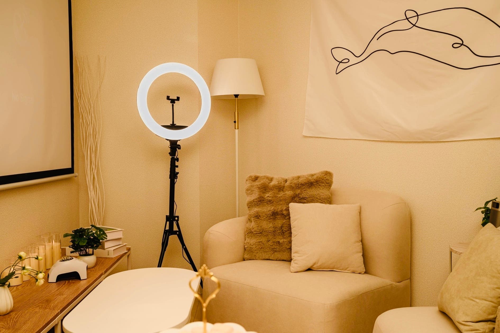 💕韓国っぽ×おうちシネマ🎬Anne💕✨記念日&いつものおうちデート💖✨三ノ宮4分⏳ カップル割引🧡推し活/女子会👀🧡100㌅🎥✨の写真20