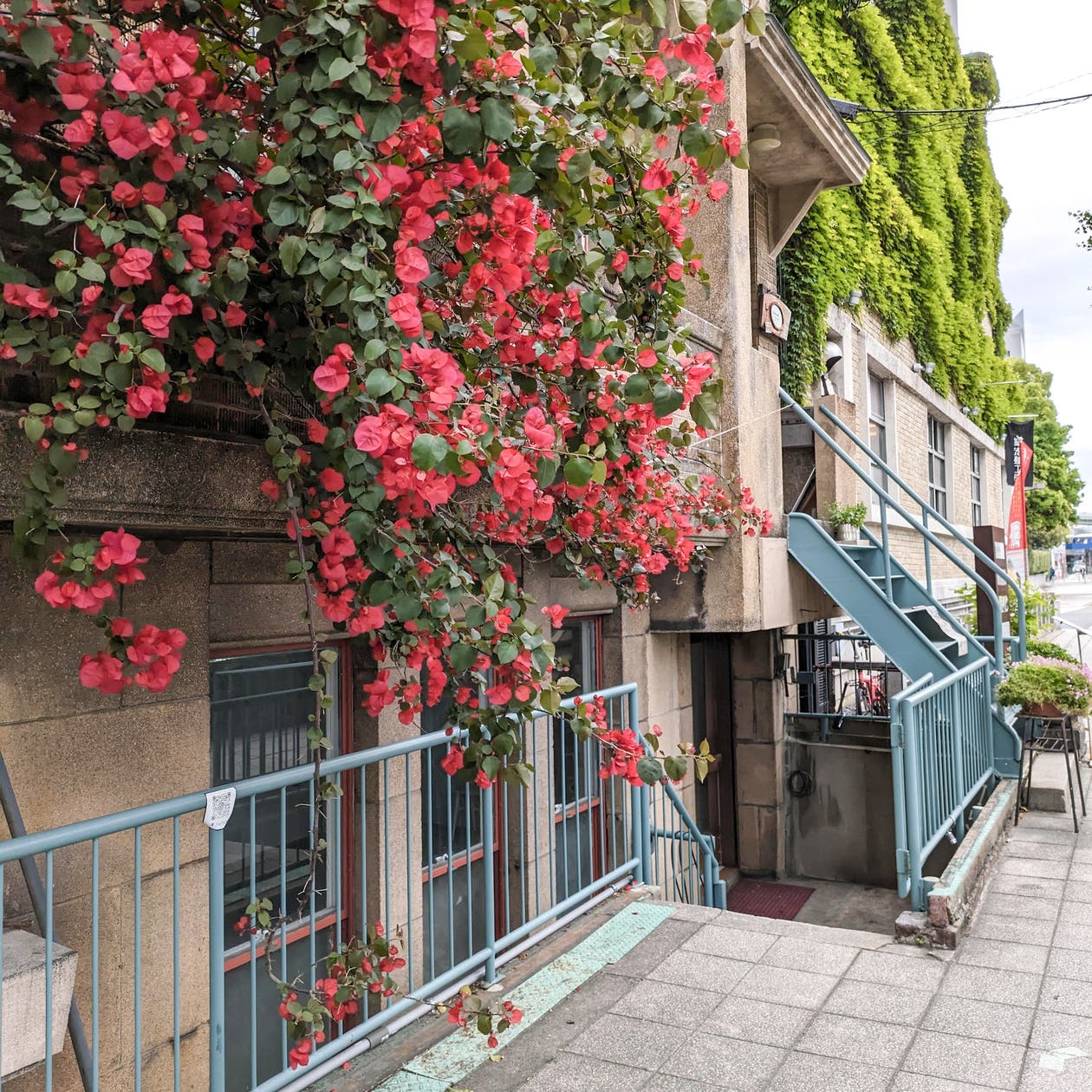 長期イベント、ペット撮影も要相談！海近くのエリアに佇むレトロビルの1F。の写真22