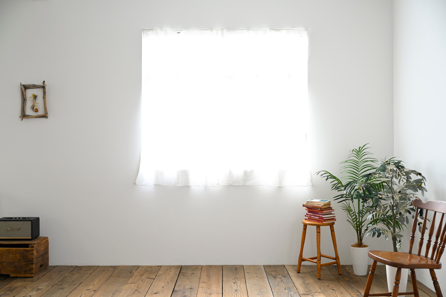 渋谷区富ヶ谷の心地いい自然光フォトスタジオの写真4