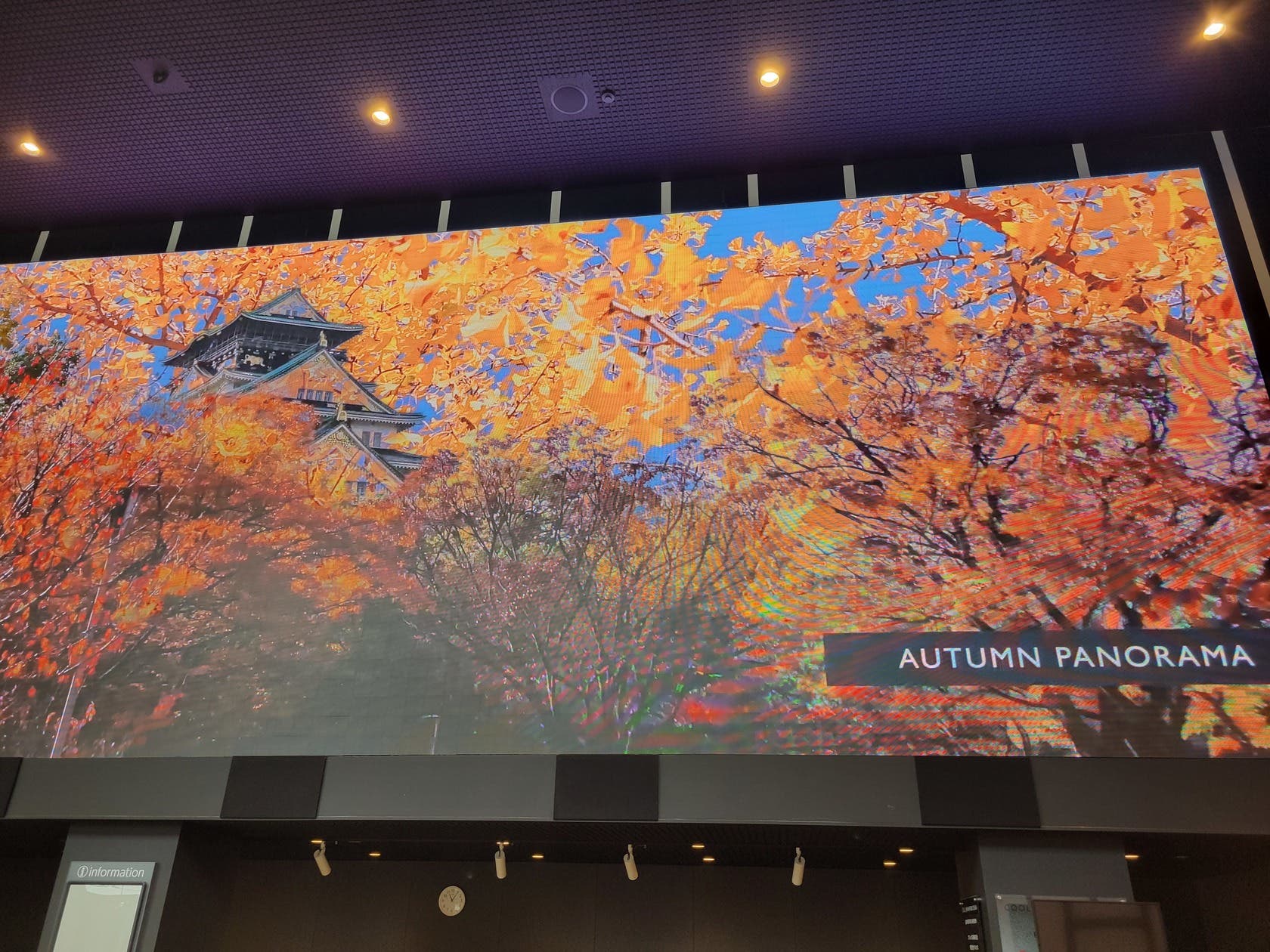 【最寄り駅から徒歩5分】クールジャパンパーク大阪・中ホールのロビーのみ。の写真14
