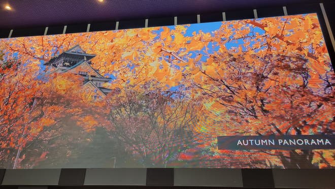 【最寄り駅から徒歩5分】クールジャパンパーク大阪・中ホールのロビーのみ。の写真14