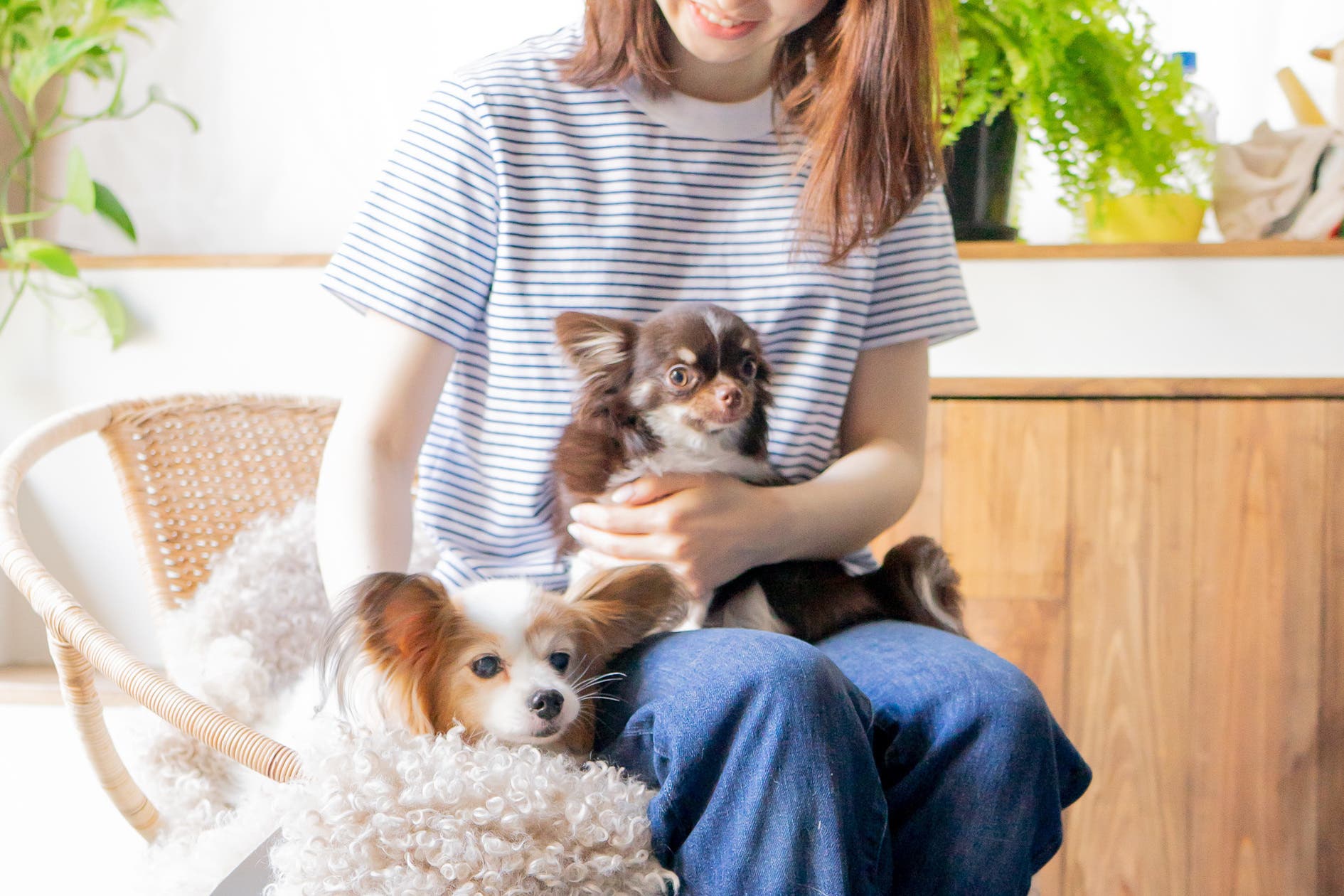 ペットOK！脱走対策済/駅徒歩2分のレンタルスペースの写真14