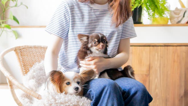 ペットOK!脱走対策済/駅徒歩2分のレンタルスペースの写真14