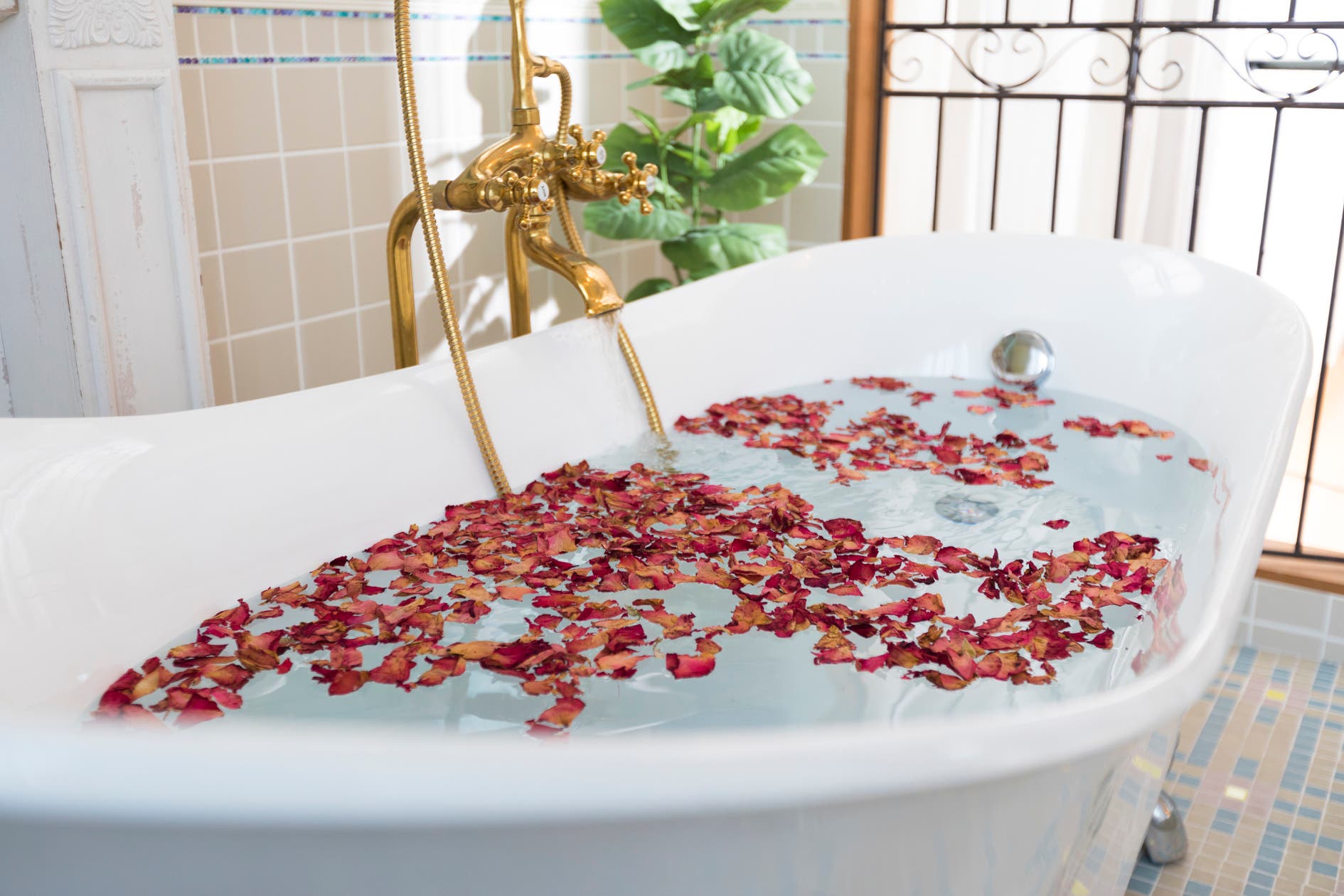 キッチン付撮影スタジオ・ピノコ&デイジー100㎡ 撮影会可の写真6