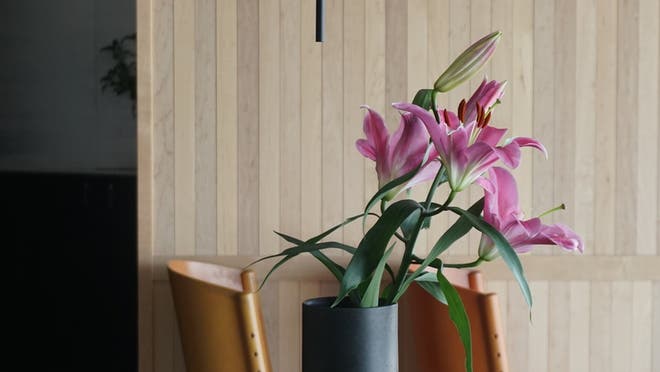 名古屋駅から電車とタクシーで20分のモダンなスタジオの写真3