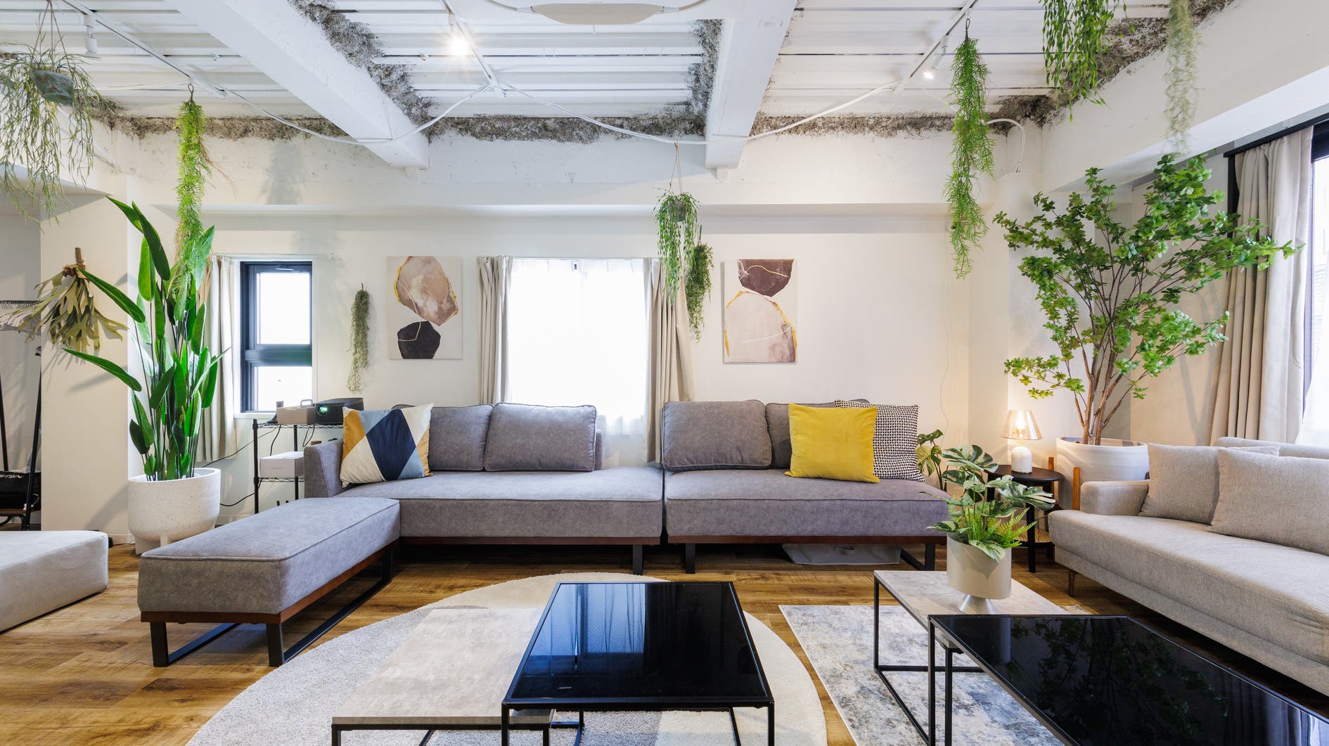 #ホウネンGoburin【水道橋】駅5分 クリスマス🎄忘年会🤶🌸学割🌸Blu-ray⚡誕生日🎂推し活🫶💓格安💰の写真11