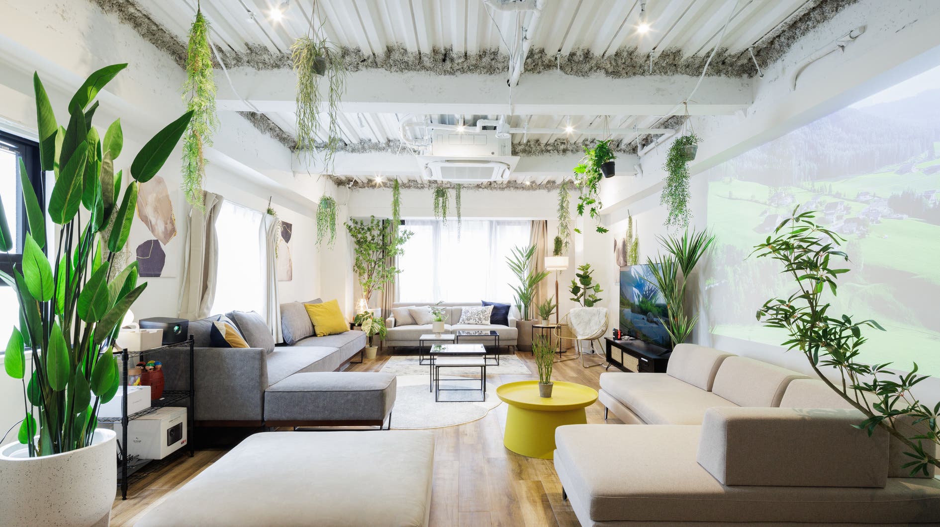 #ホウネンGoburin【水道橋】駅5分 クリスマス🎄忘年会🤶🌸学割🌸Blu-ray⚡誕生日🎂推し活🫶💓格安💰の写真12