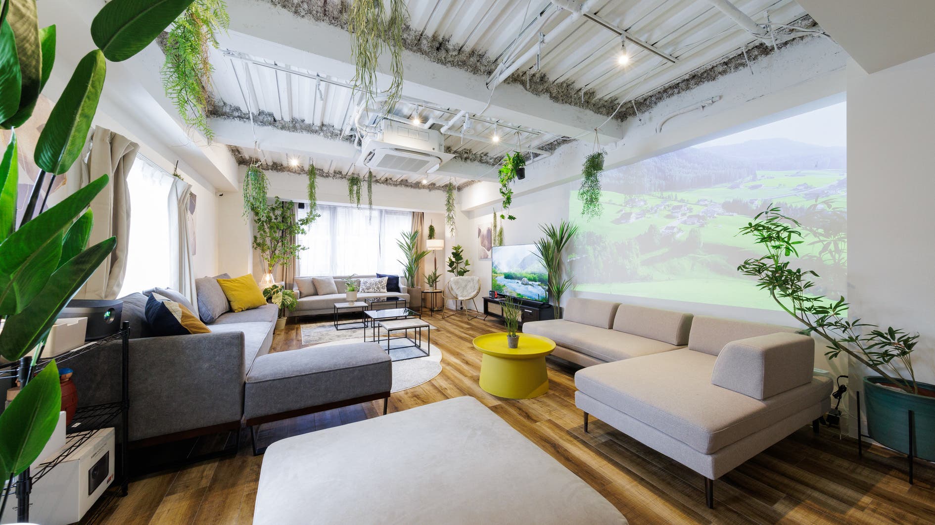 #ホウネンGoburin【水道橋】駅5分 クリスマス🎄忘年会🤶🌸学割🌸Blu-ray⚡誕生日🎂推し活🫶💓格安💰の写真13