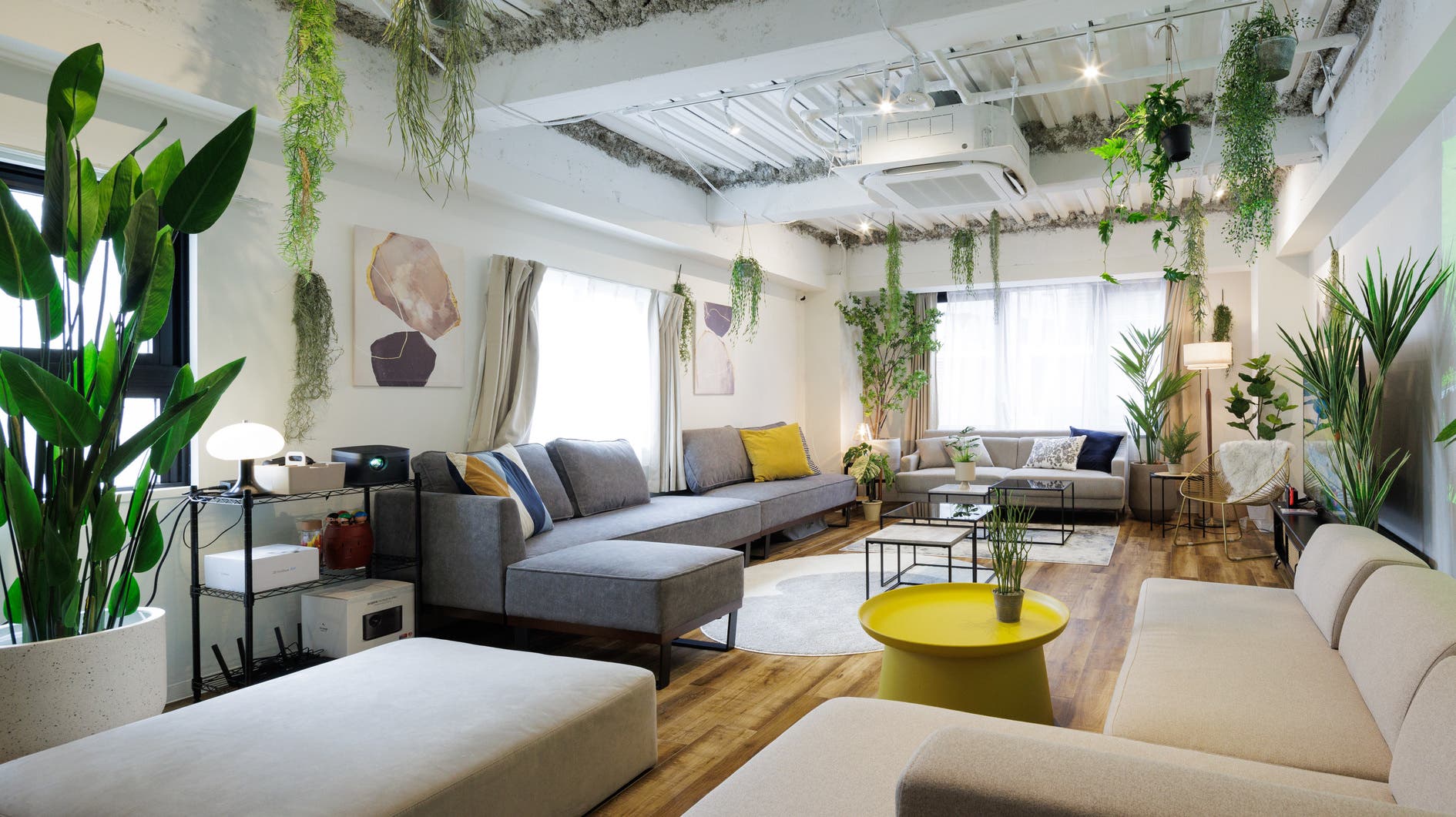 #ホウネンGoburin【水道橋】駅5分 クリスマス🎄忘年会🤶🌸学割🌸Blu-ray⚡誕生日🎂推し活🫶💓格安💰の写真17