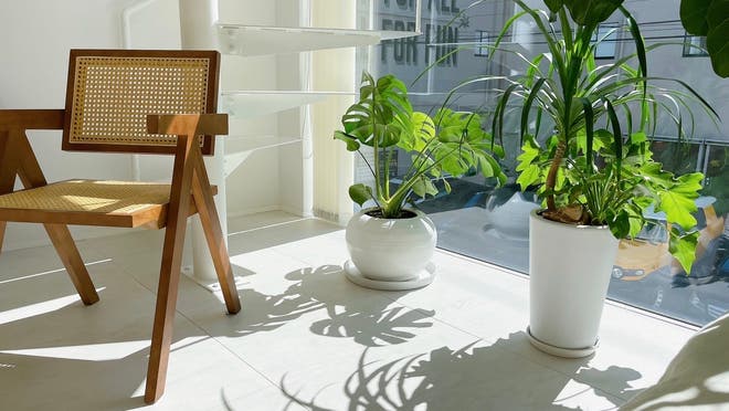 Mieleオーブン完備したオシャレキッチンスタジオの写真19