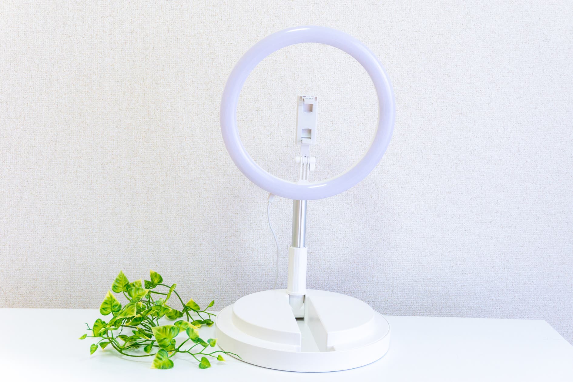 11/26より🎄装飾🎅ラグジュアリーなパーティ空間💎Netflix📺ボドゲ🎯誕生会🍰おうちデート💞の写真18