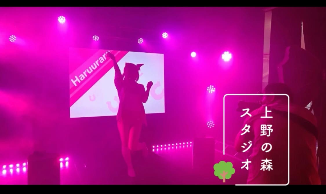 上野駅３分。アイドル・ライブ撮影、動画配信、PV.MV、様々な事に利用されています。周囲🅿️あります。コンビニ１分の写真28