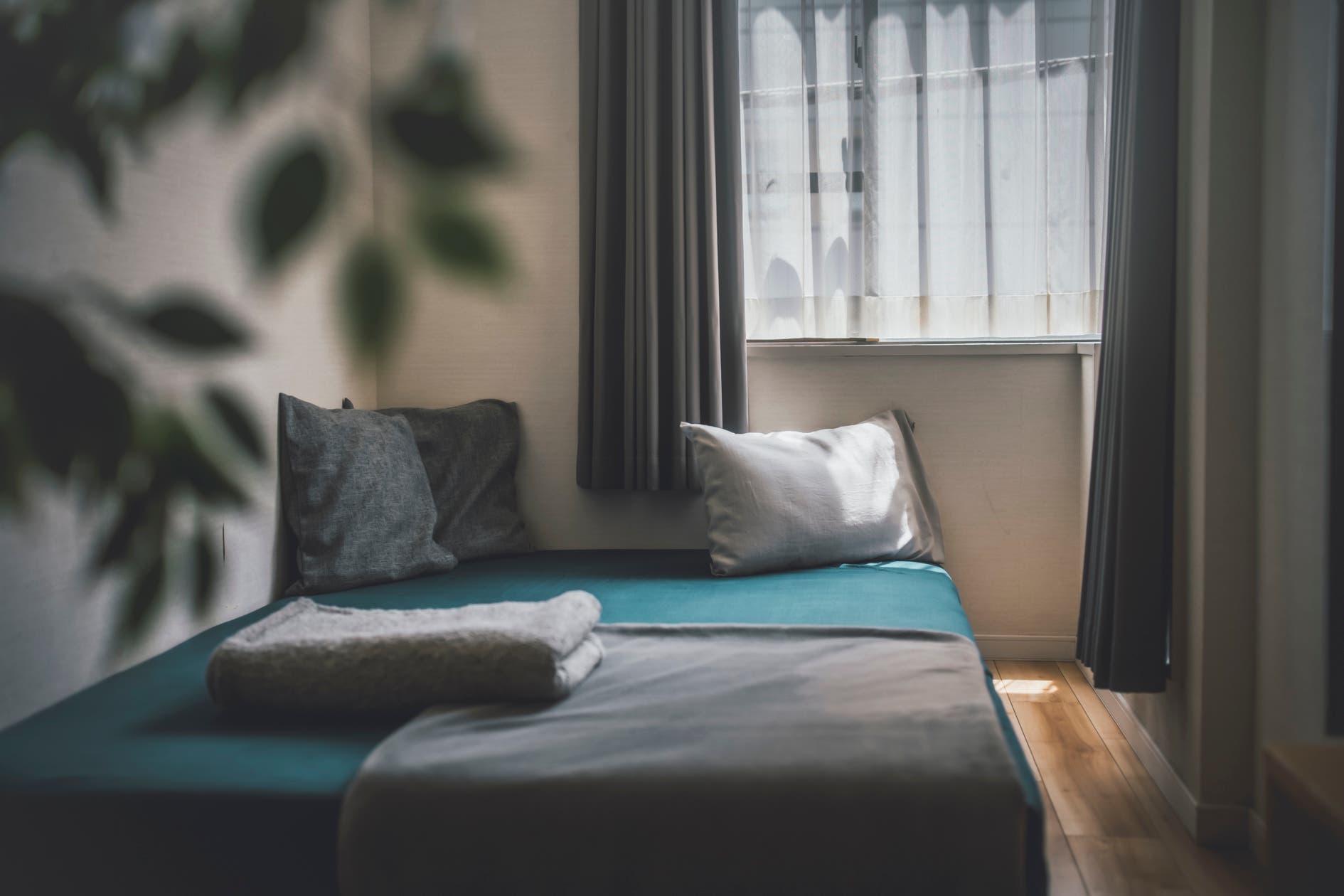 スペモ📷クリスマス🎄パーティー🥂飲み会🍻歓送迎会🎊女子会💖映画鑑賞🎞打ち上げ🎉撮影収録🎥066_fika1stの写真6