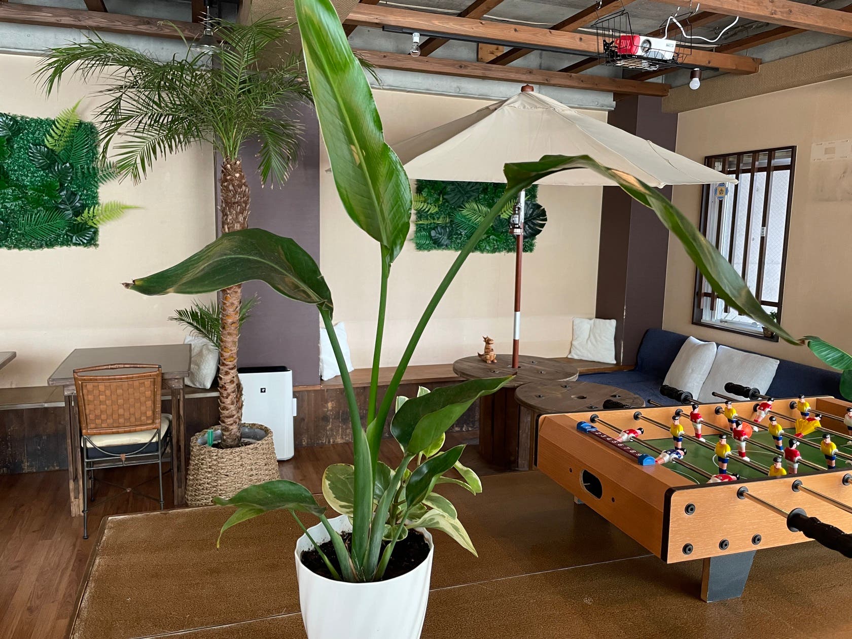 広小路駅から徒歩1分　パーティー、撮影、自由スペースの写真7