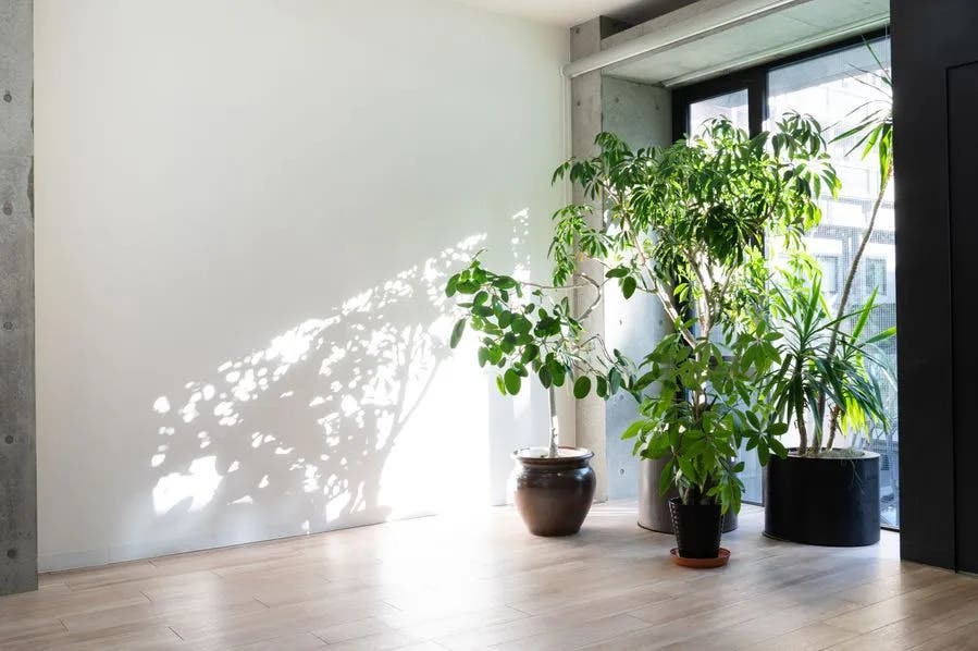 動物可🐶白壁×コンクリート造り×天高3.65ｍの自然光が入る居心地◎のオシャレな空間！KITAYAPARK徒歩１分♪の写真8