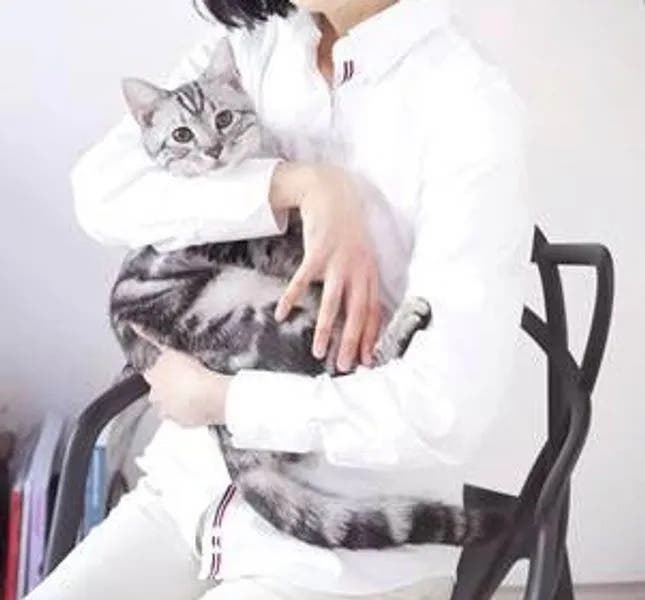 動物可🐶白壁×コンクリート造り×天高3.65ｍの自然光が入る居心地◎のオシャレな空間！KITAYAPARK徒歩１分♪の写真15