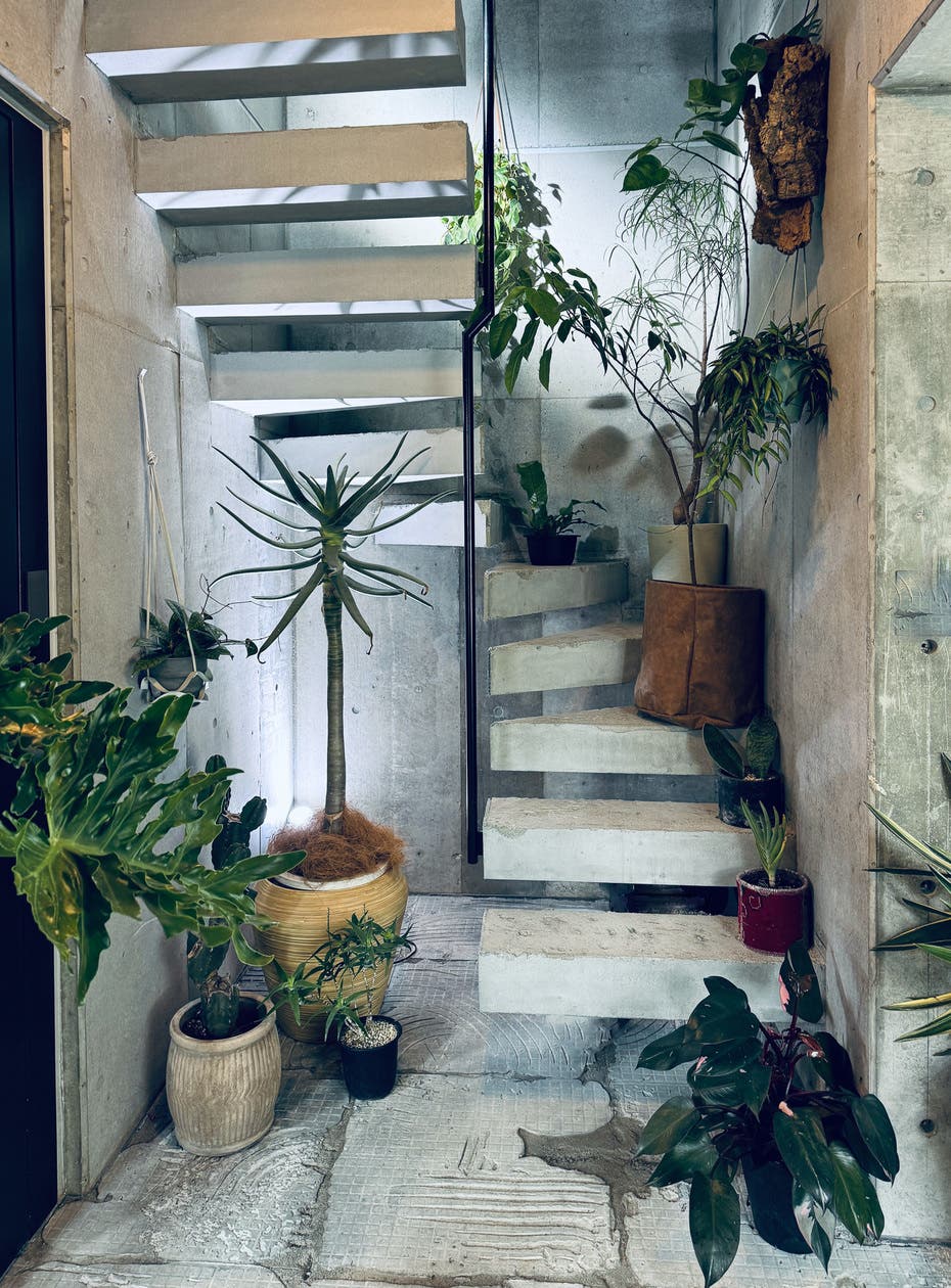 「85studio」渋谷区、幡ヶ谷駅から徒歩12分のコンクリート打ち放しの撮影スタジオの写真8