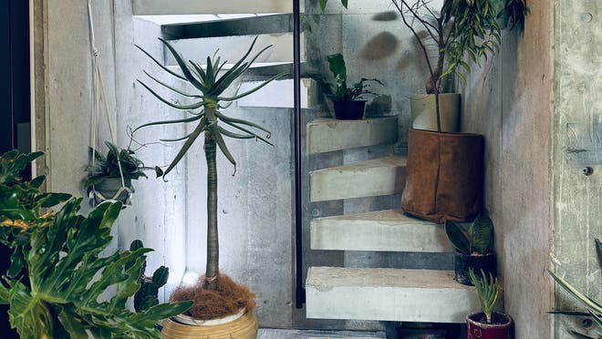 「85studio」渋谷区、幡ヶ谷駅から徒歩12分のコンクリート打ち放しの撮影スタジオの写真8