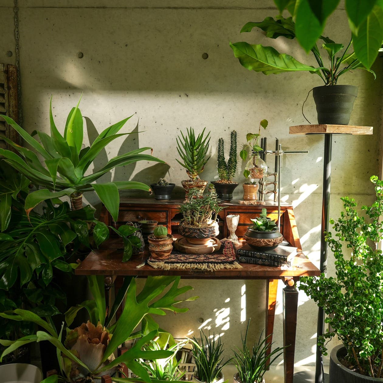 「85studio」渋谷区、幡ヶ谷駅から徒歩12分のコンクリート打ち放しの撮影スタジオの写真22