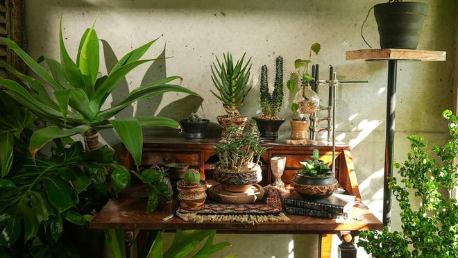 「85studio」渋谷区、幡ヶ谷駅から徒歩12分のコンクリート打ち放しの撮影スタジオの写真22