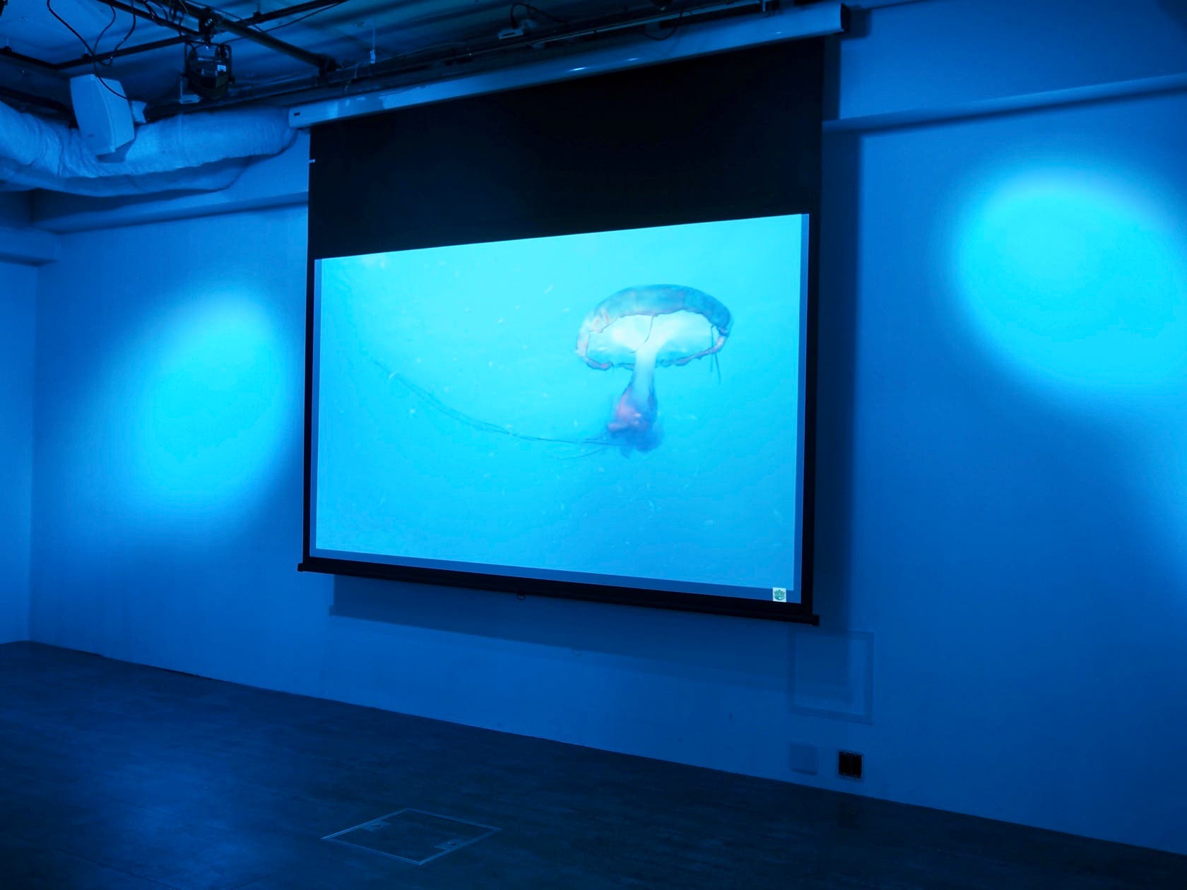 【渋谷駅7分】アイドルイベント、アパレル展示会、トークライブ、配信など各種イベントに最適の写真11