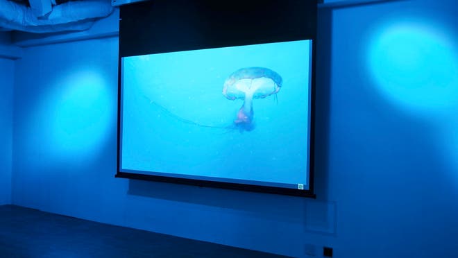 【渋谷駅7分】アイドルイベント、アパレル展示会、トークライブ、配信など各種イベントに最適の写真11