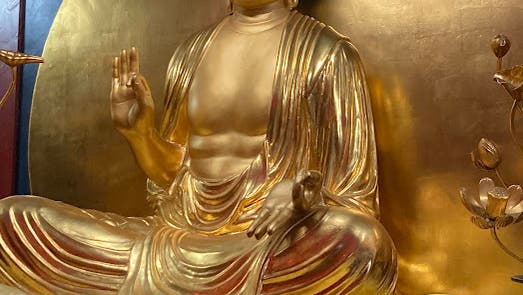 お寺と周辺の林間エリア 宝塚の写真24