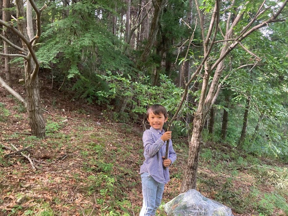 お寺と周辺の林間エリア 宝塚の写真26