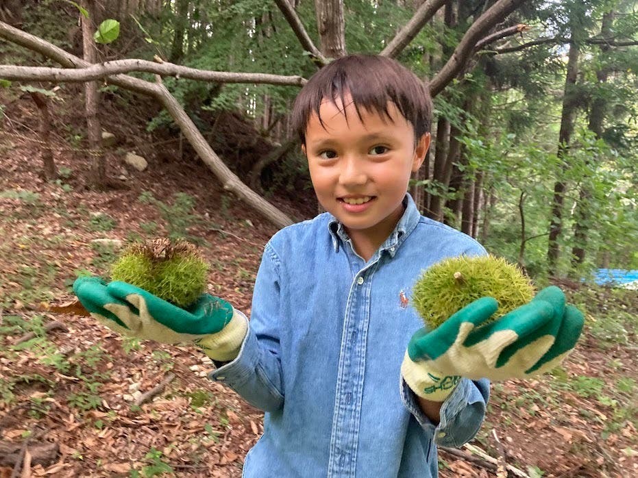 お寺と周辺の林間エリア 宝塚の写真6