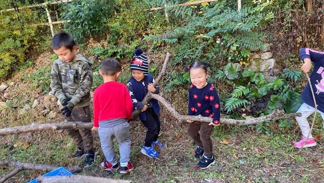 お寺と周辺の林間エリア 宝塚の写真3
