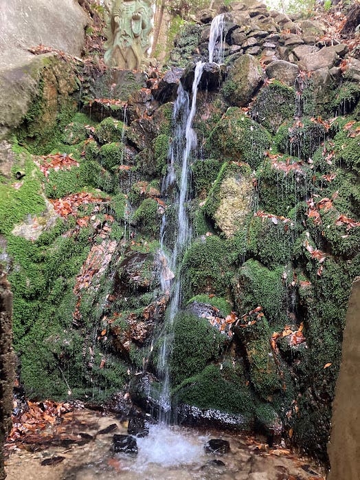 お寺と周辺の林間エリア 宝塚の写真5