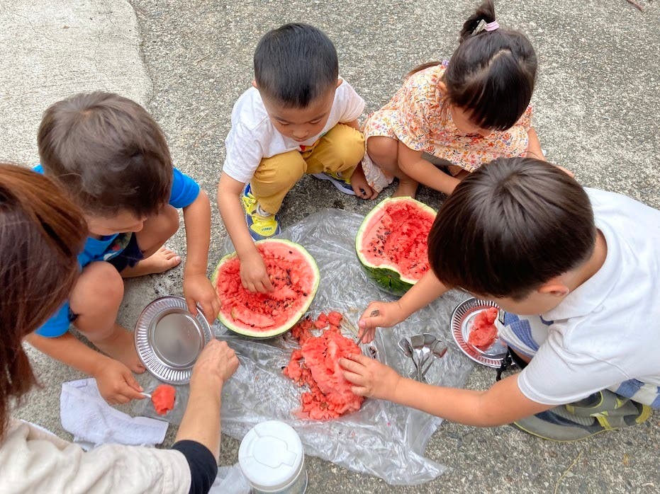 お寺と周辺の林間エリア 宝塚の写真7