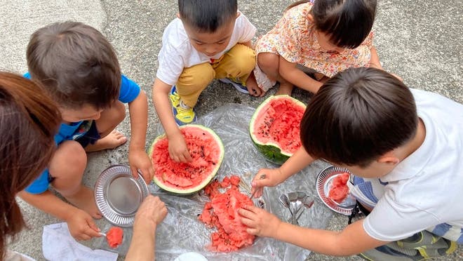 お寺と周辺の林間エリア 宝塚の写真7