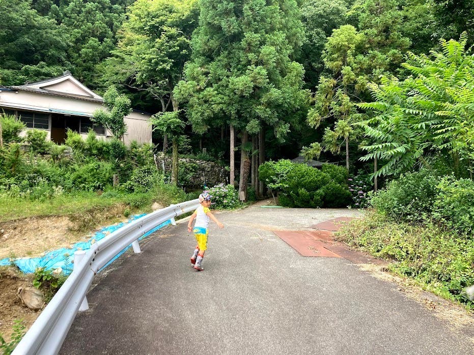 お寺と周辺の林間エリア 宝塚の写真13