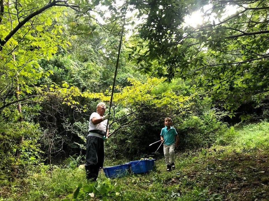 お寺と周辺の林間エリア 宝塚の写真14