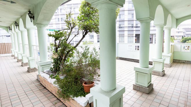 【茅ヶ崎駅 徒歩6分/】ペット撮影|グループ撮影|ウェディング|マタニティ|バースデー|PV撮影|商品撮影の写真10