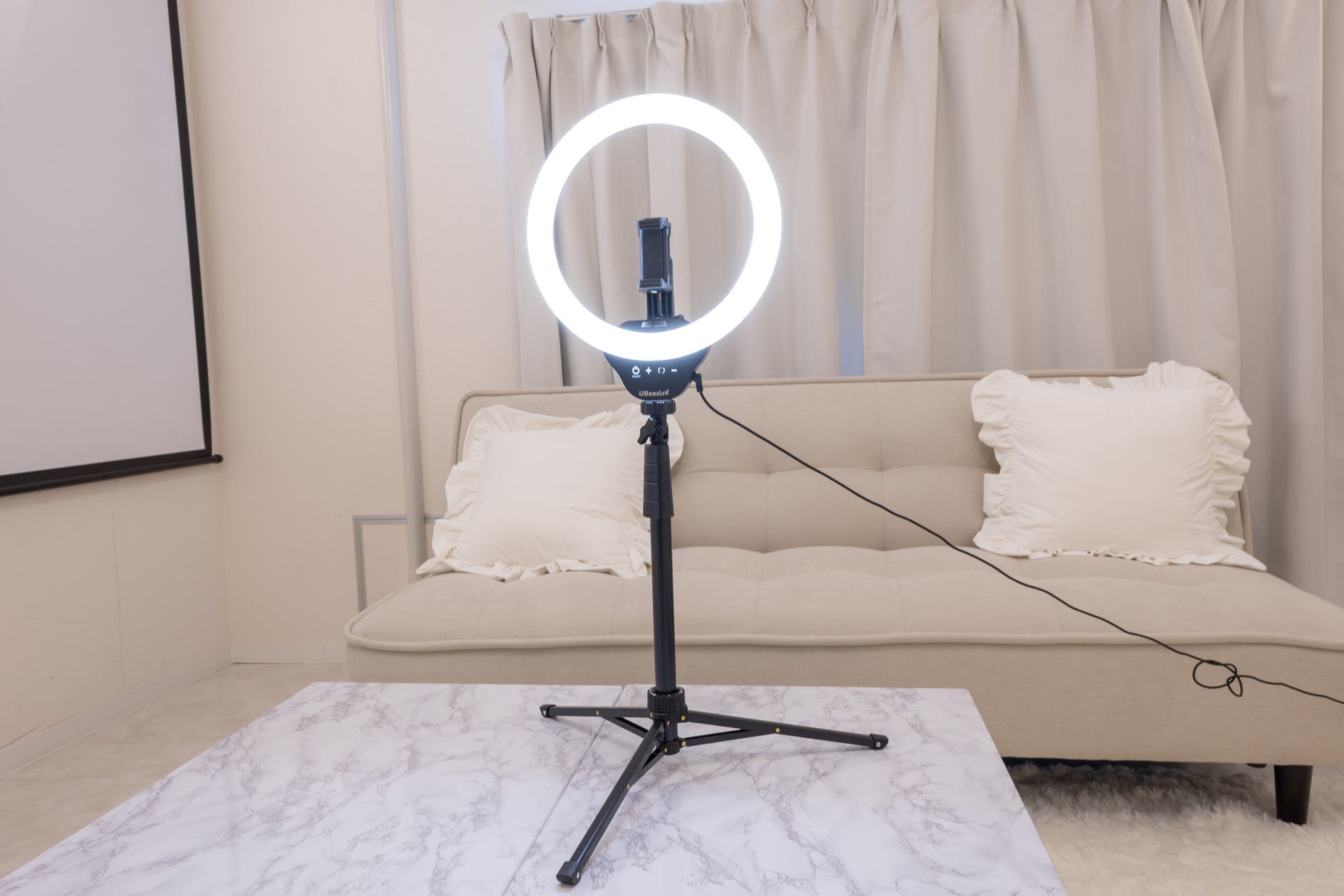 真っ白インテリア🤍クリスマス小物多数🎄✨120㌅大型スクリーン📽️3色変化LED照明✨ゴミ捨て無料！の写真16