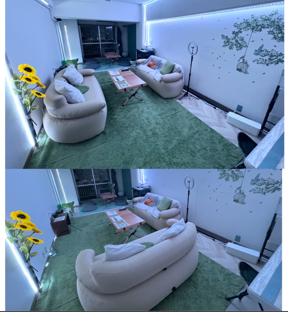 クリスマスツリー設置しました⭐️110インチプロジェクターで動画が見放題🎞️✨新大阪駅徒歩5分🏠🎉の写真5